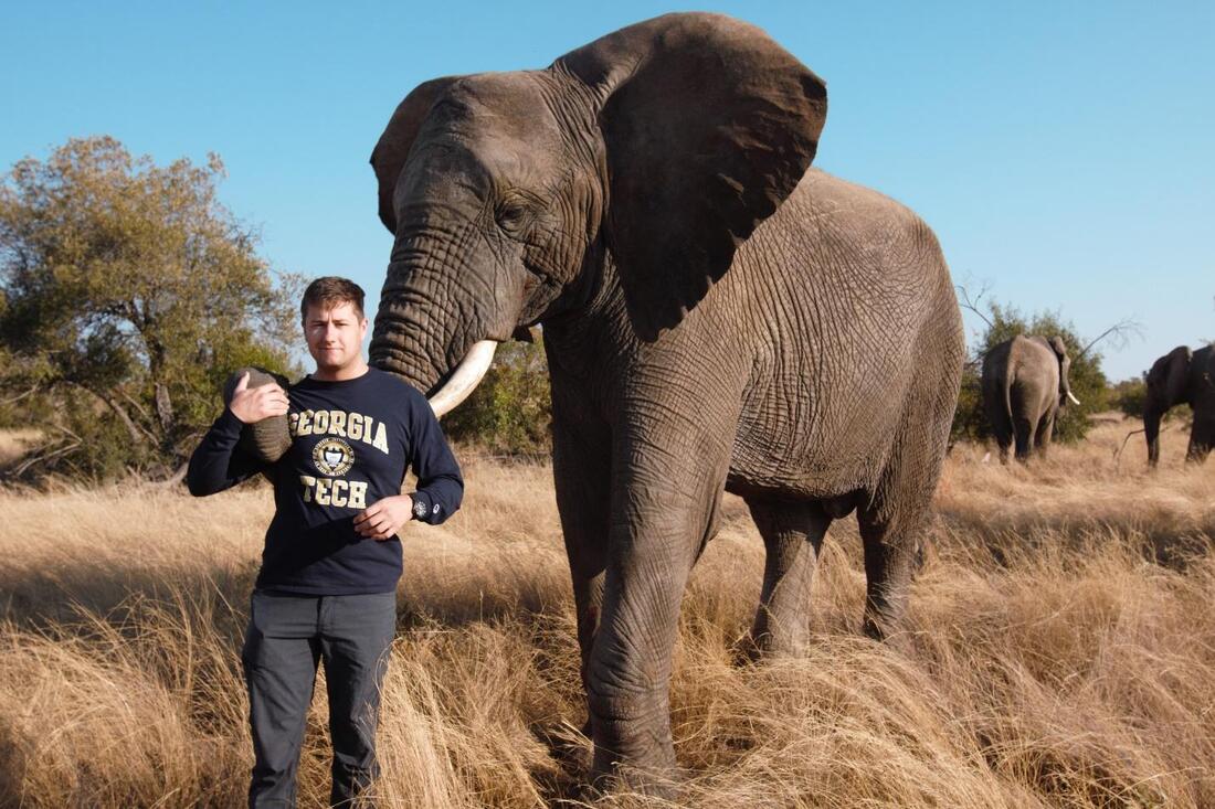 What Can We Learn from Elephant Trunks? • Association of Science ...